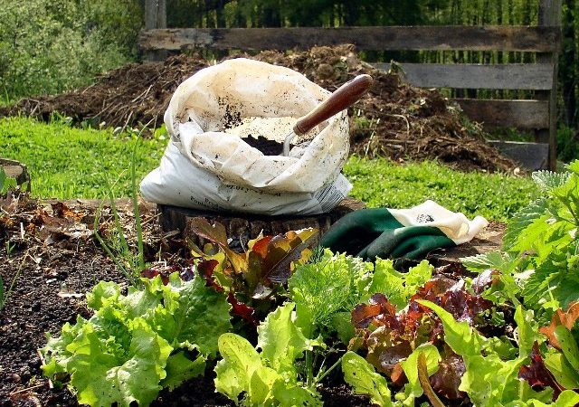 Il compostaggio domestico | La Casa dei Tesori